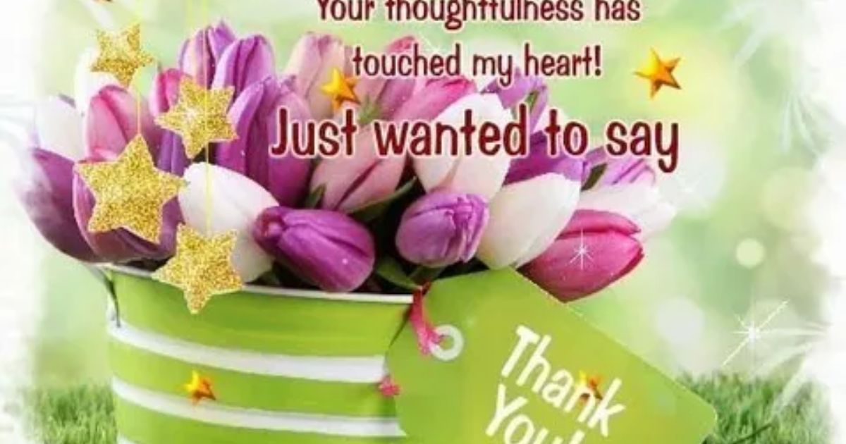 Thank You for Hosting Party: Heartfelt Messages to Express Your ...